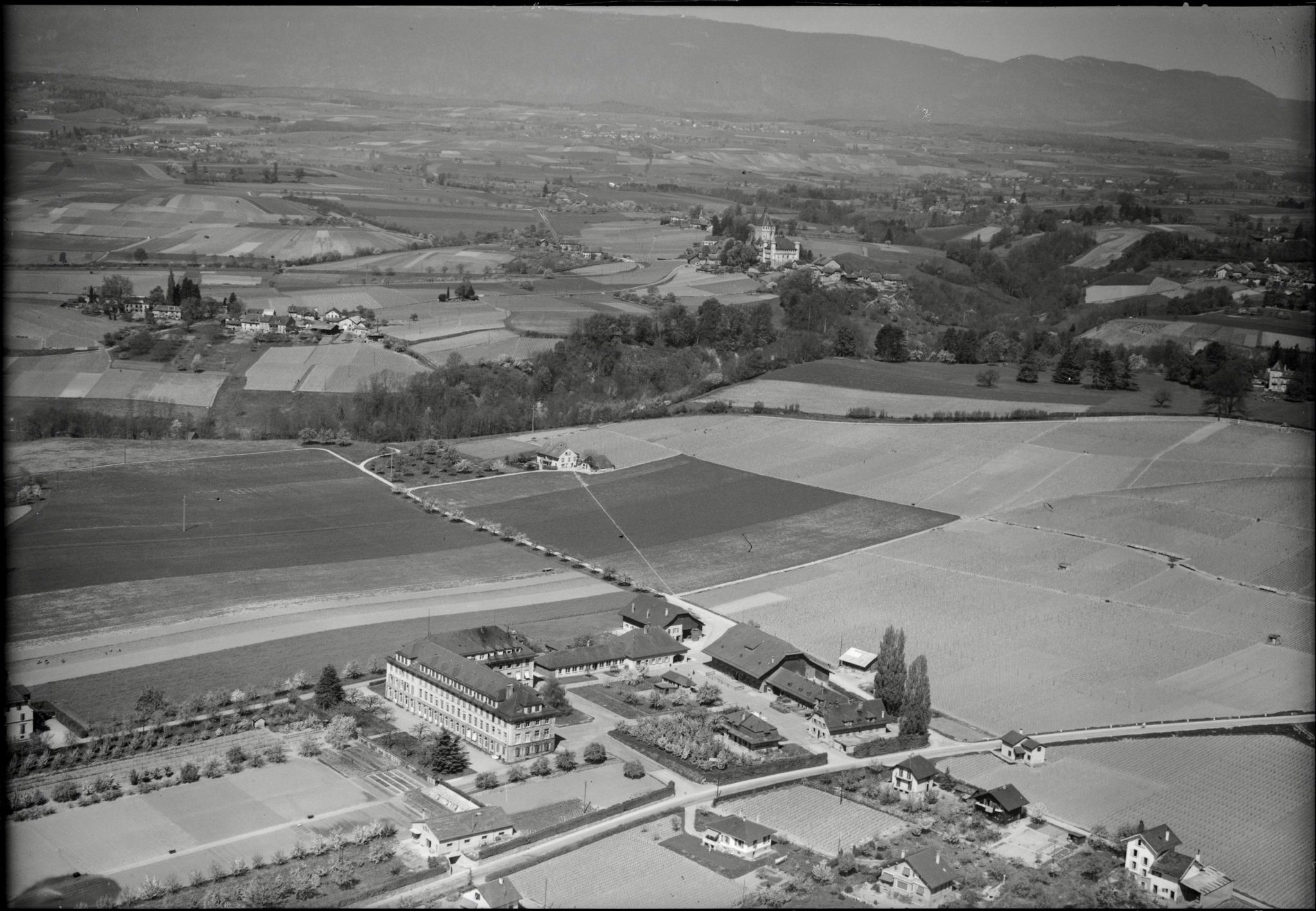 L’histoire de Marcelin – Marcelin.ch